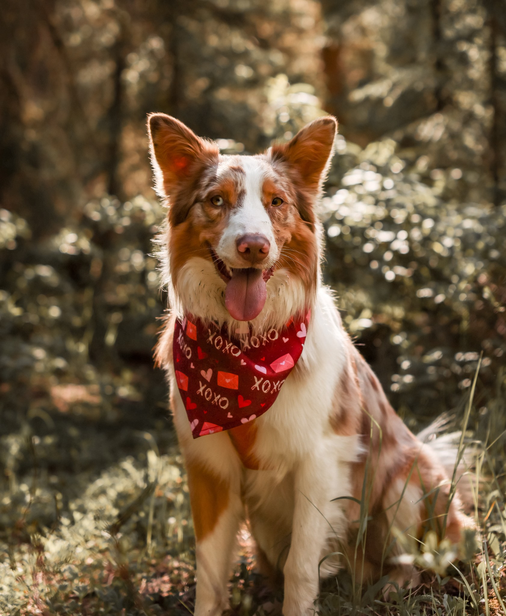 Canon 50mm f/1.2L Review: Real-World Use After Years of Shooting – KRx ...