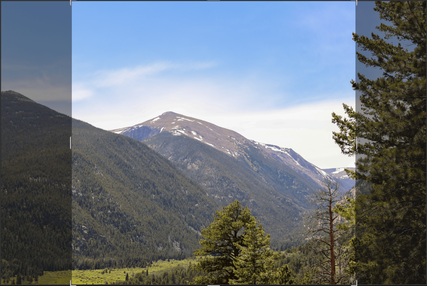 Crop Ratios Explained: How to Choose the Right Aspect Ratio for Your ...