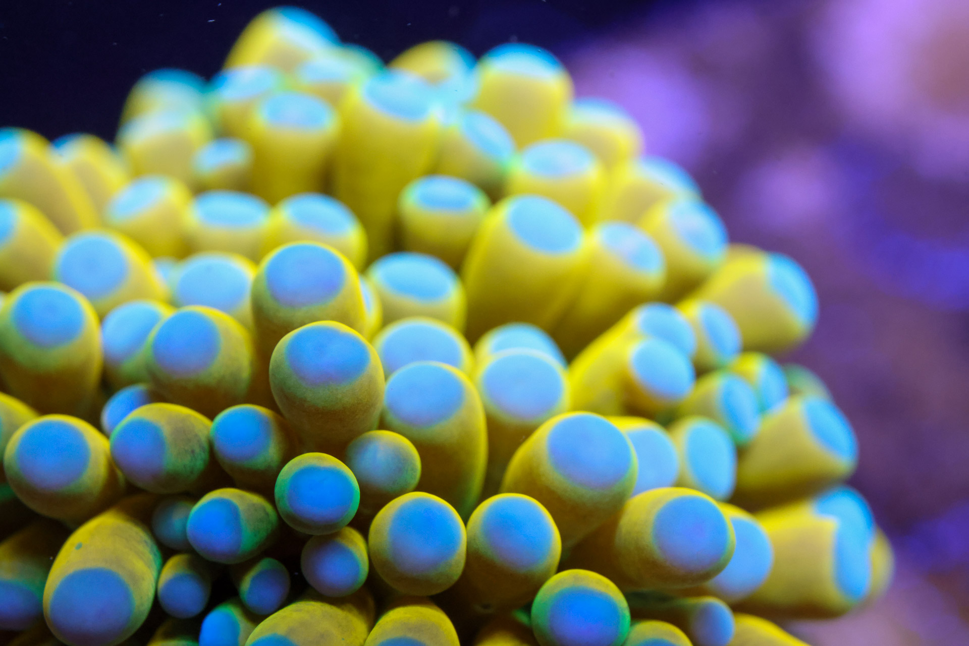 What is Exposure in Photography? (Simple Guide for Beginners) – KRx Media